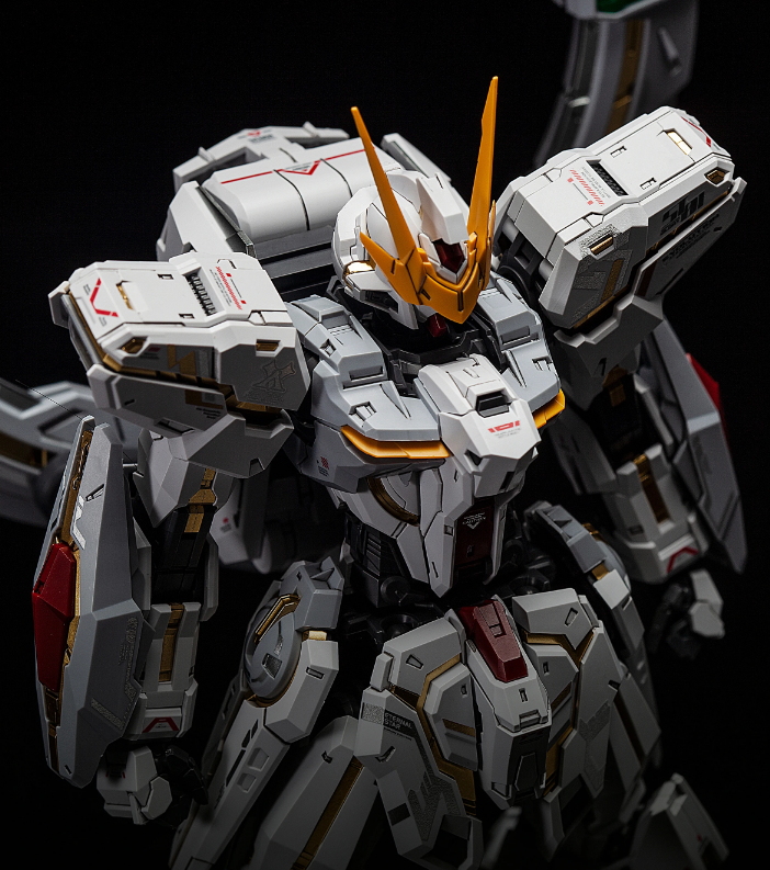 Supreme Evolution 1/100 ST-001 Eternal Star Glory 2.0 Model Kit ...
